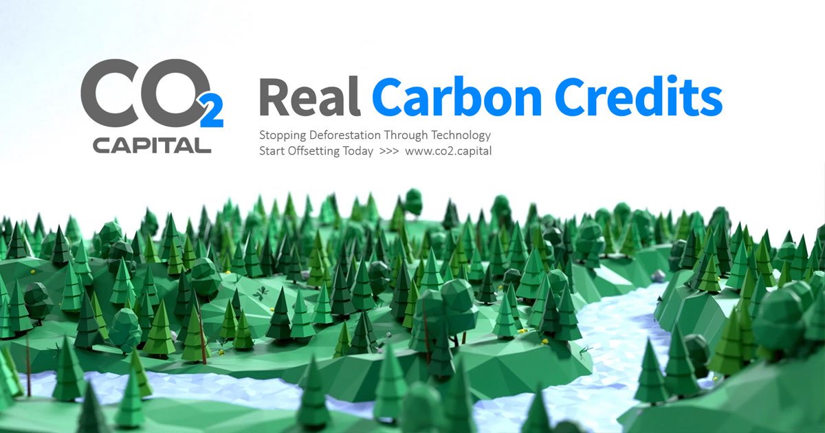 CO2.CAPITAL the fintech approach to forest carbon offset